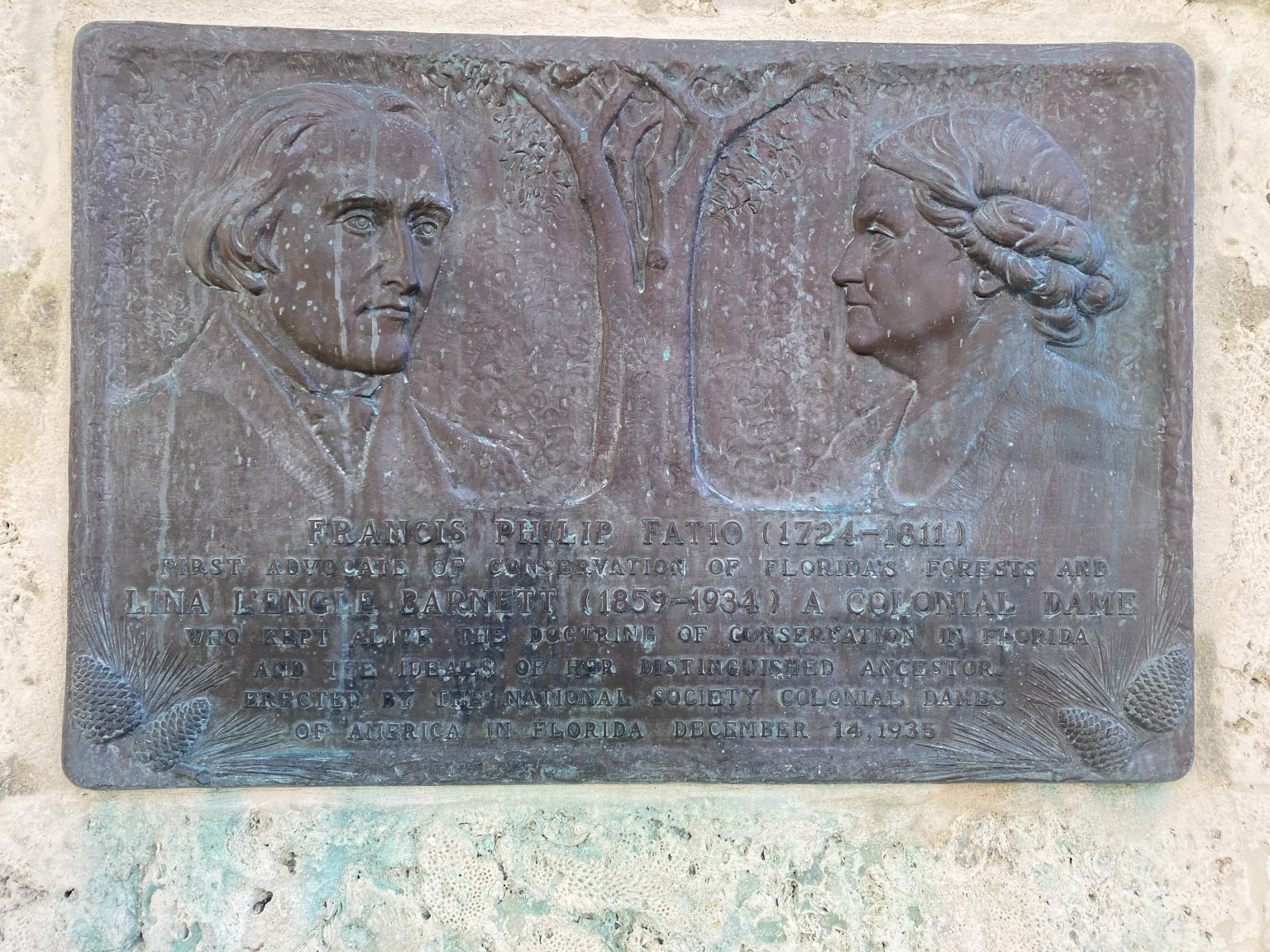 Reckoning our History: Francis Philip Fatio Memorial Bench - The Sandspur